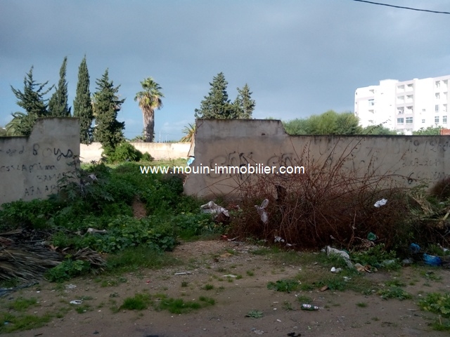 Terrain Jed T687 Ain Zaghouan Vente terrain