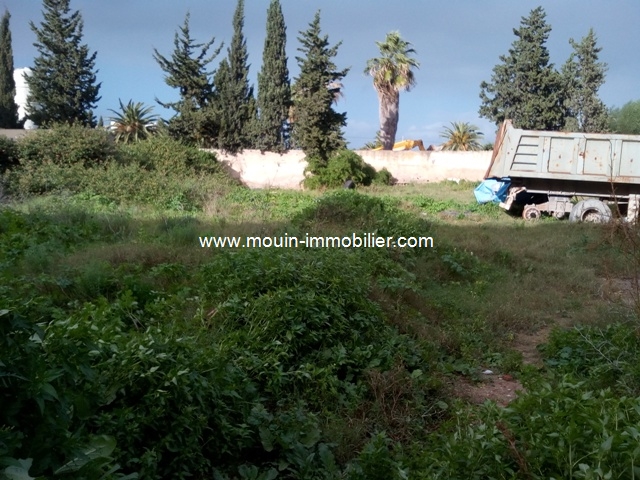 Terrain Jed T687 Ain Zaghouan Vente terrain